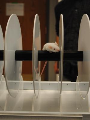 Dennis K. Miller | Psychological Sciences - Psychological Sciences